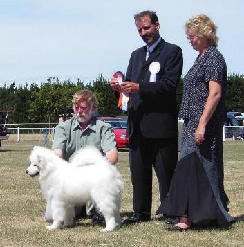 NZ Ch Roybridge Diamond Crusader at Nikolaevsk (Imp. UK)